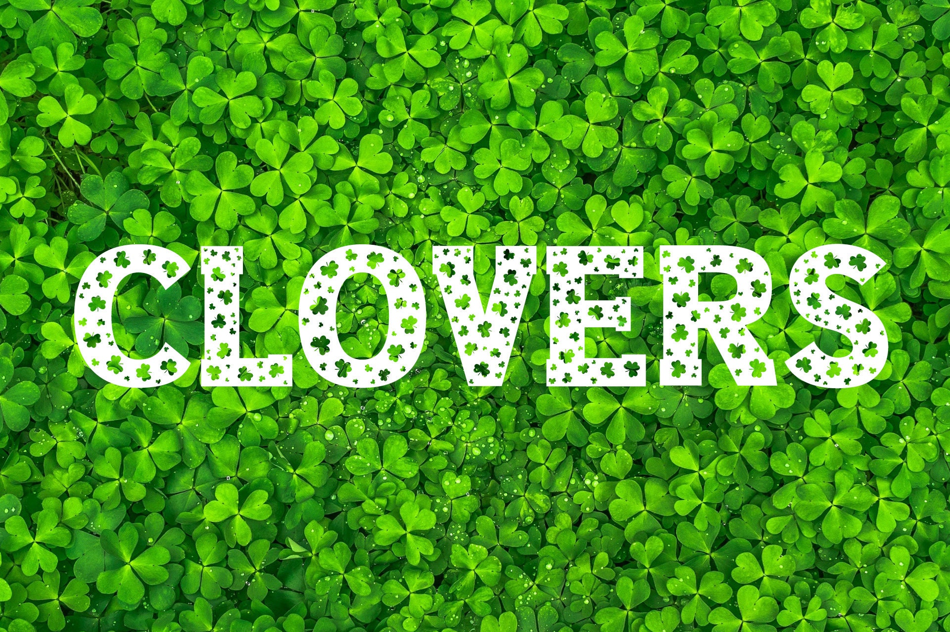 Clover Love - Saint Patrick's Day Font - SVG, OTF and TTF Files - Etsy