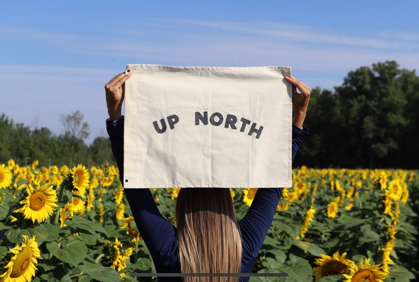 Up North Canvas Flag Wall Art - Etsy