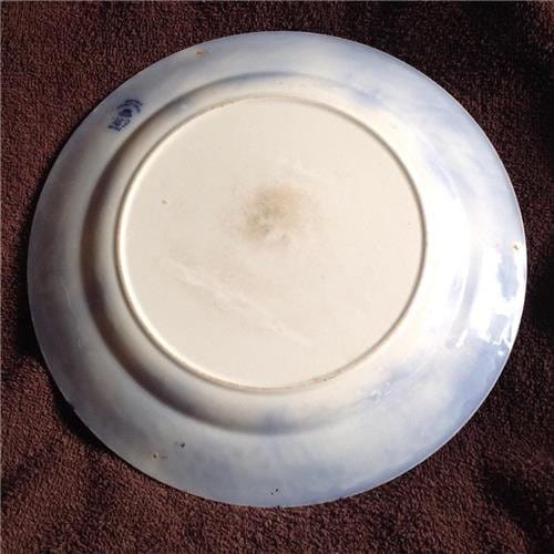 Vintage Empire Ware Pottery Plate Blue & White Savoy 1925-39 Stoke on ...