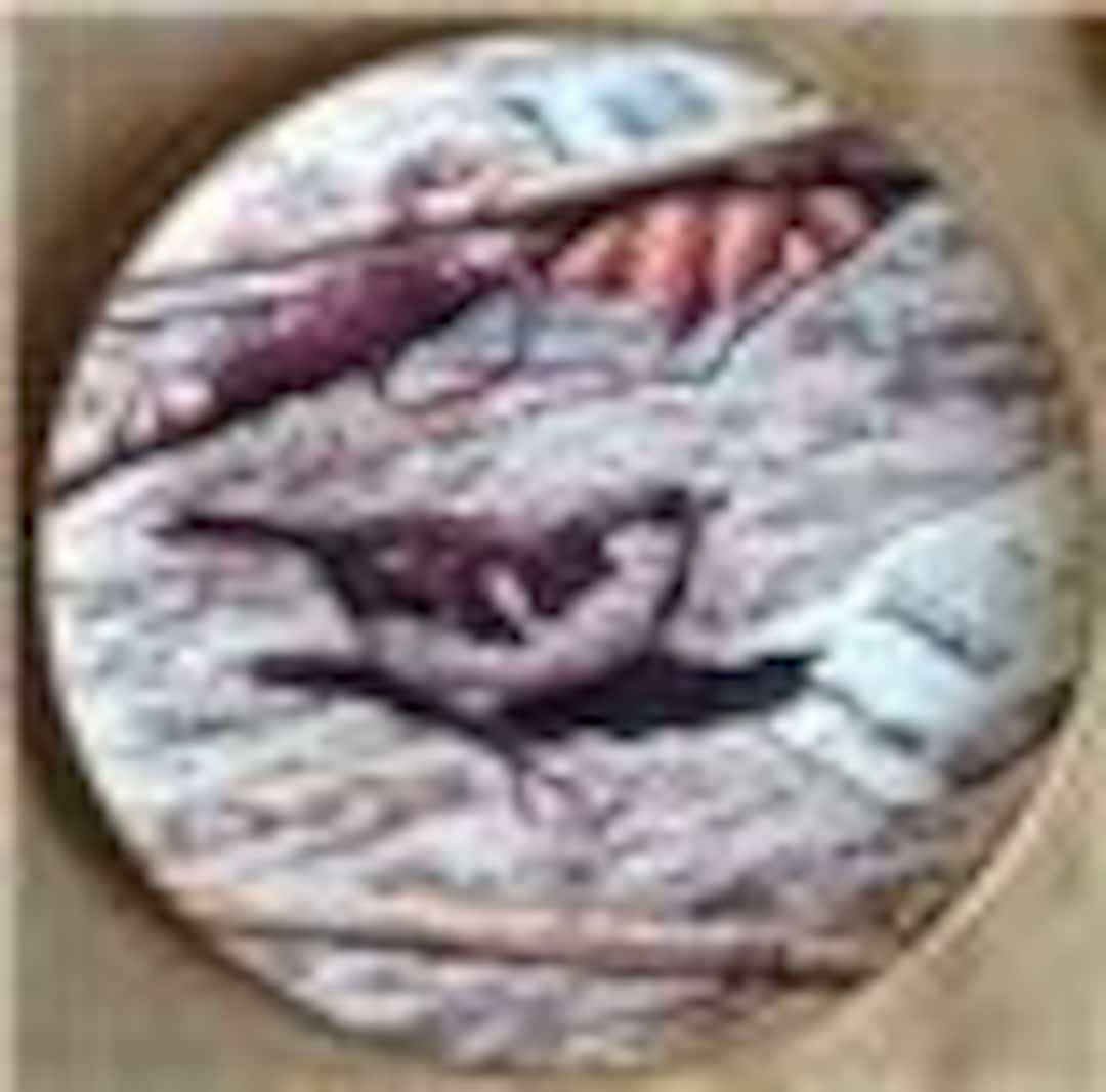 RSPB Centenary Collectors Plate HOUSE SPARROW Bird Wedgwood China ...