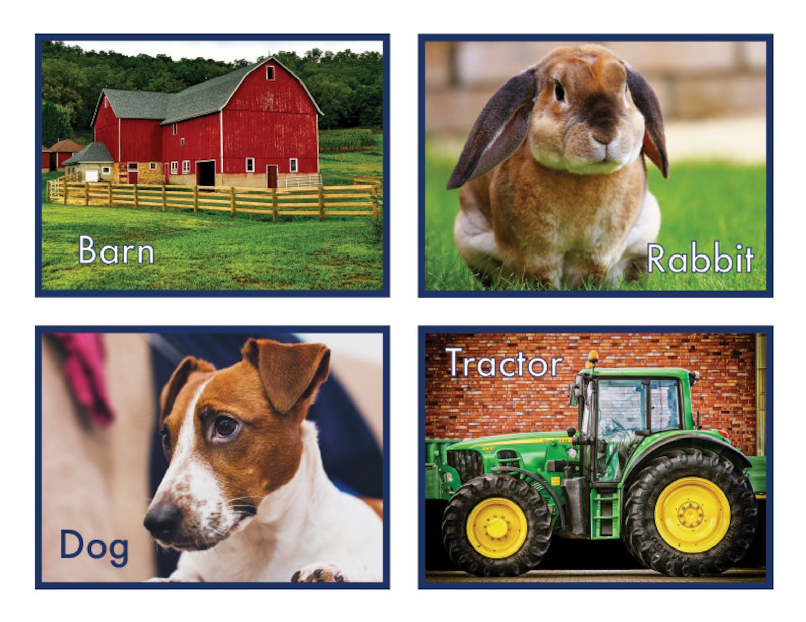 Printable Realistic Farm Animal Flash Cards, Learning Cards - PDF ...