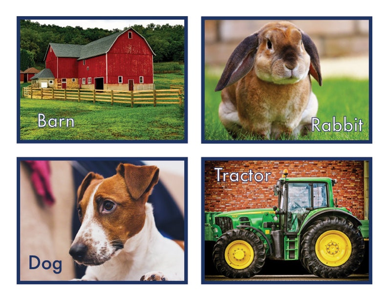 Printable Realistic Farm Animal Flash Cards, Learning Cards - PDF ...