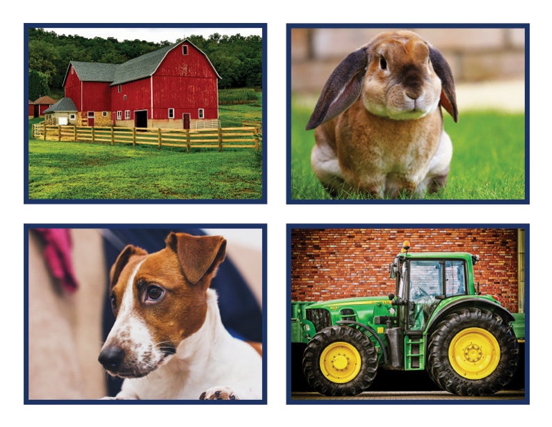 Printable Realistic Farm Animal Flash Cards, Learning Cards - PDF ...
