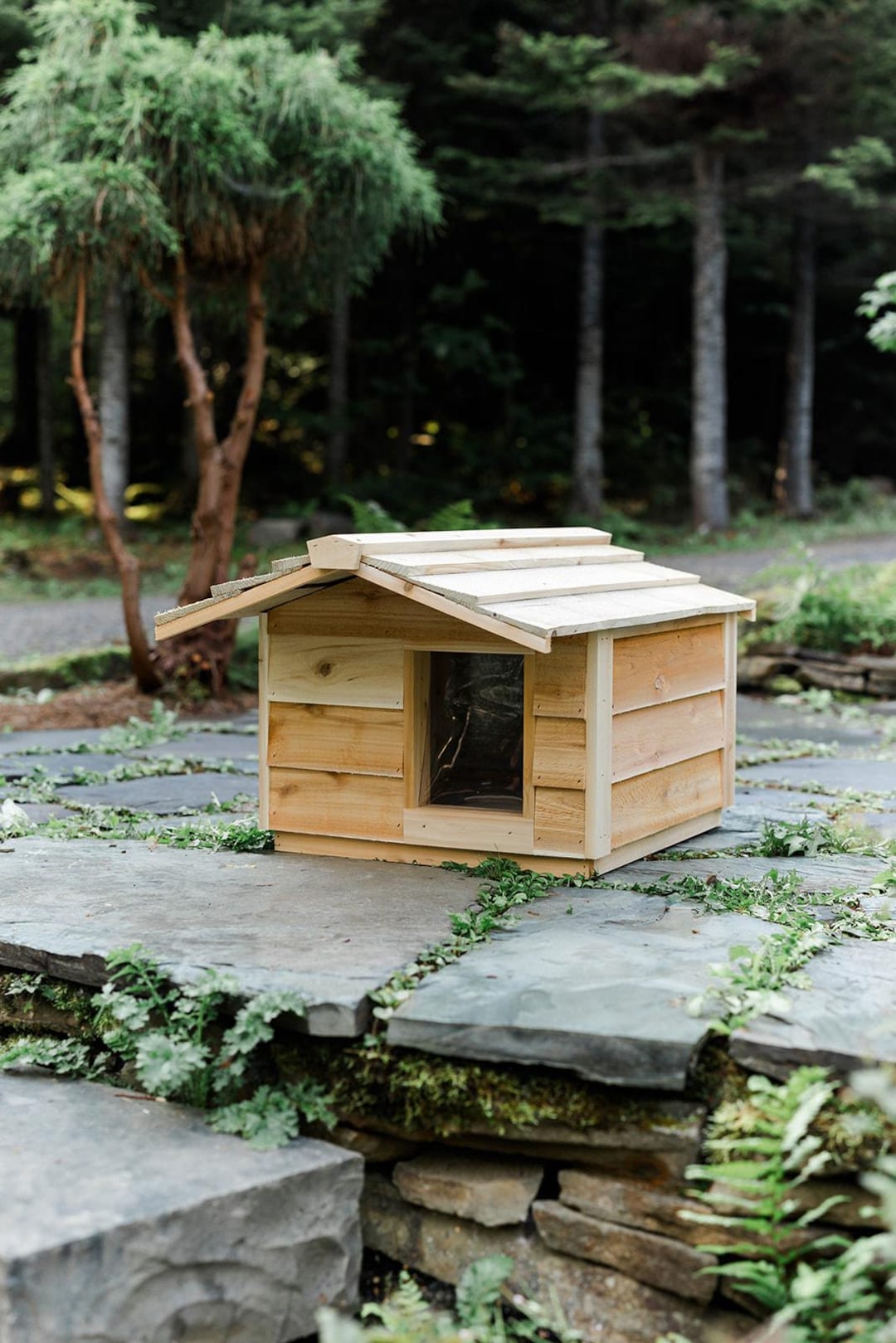 Insulated Outdoor Cat House: Large Feral Cat Shelter With Extended Roof ...