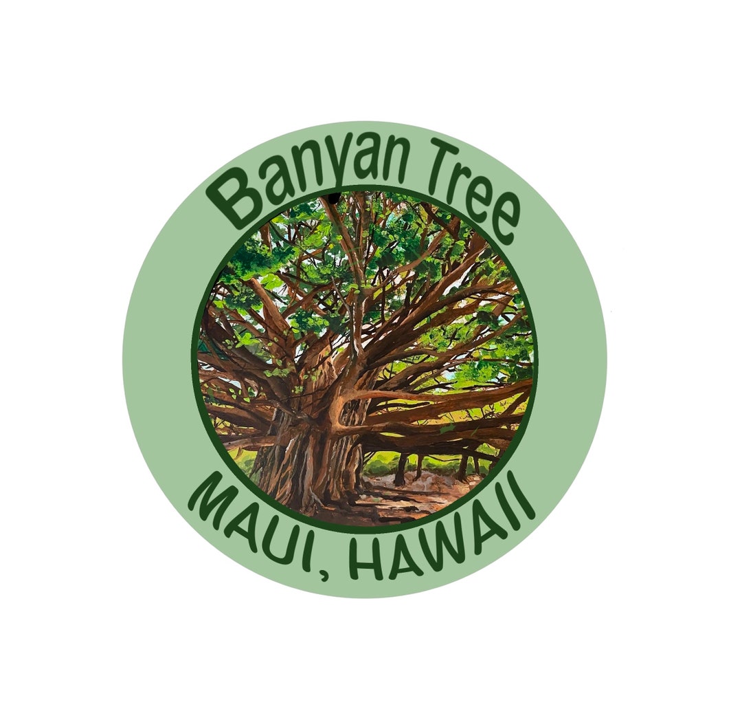 3”x3” Banyan Tree Sticker in Maui, Hawaii. Scratch Resistant and ...