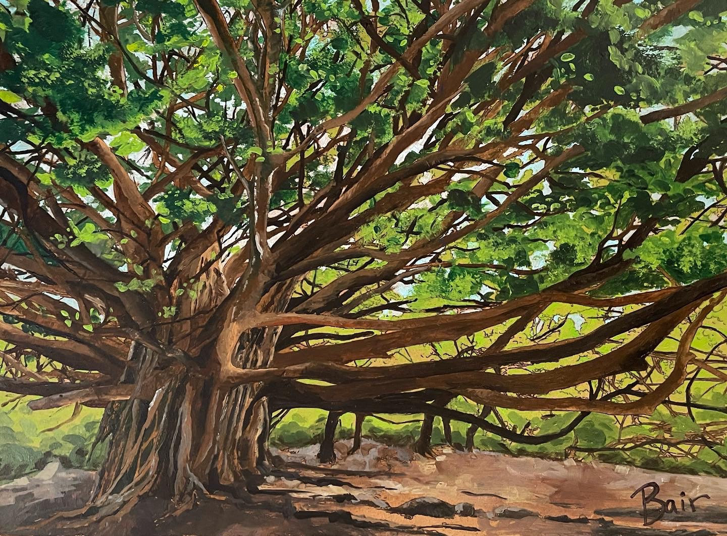 Banyan Tree Oil Painting