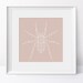 Lace Spider Cross Stitch Pattern: Halloween Design (PDF Pattern) - Etsy