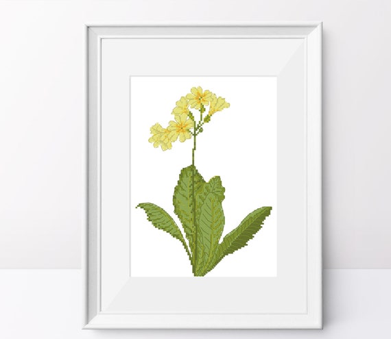 Yellow primrose cross stitch pattern Primrose flower pdf | Etsy