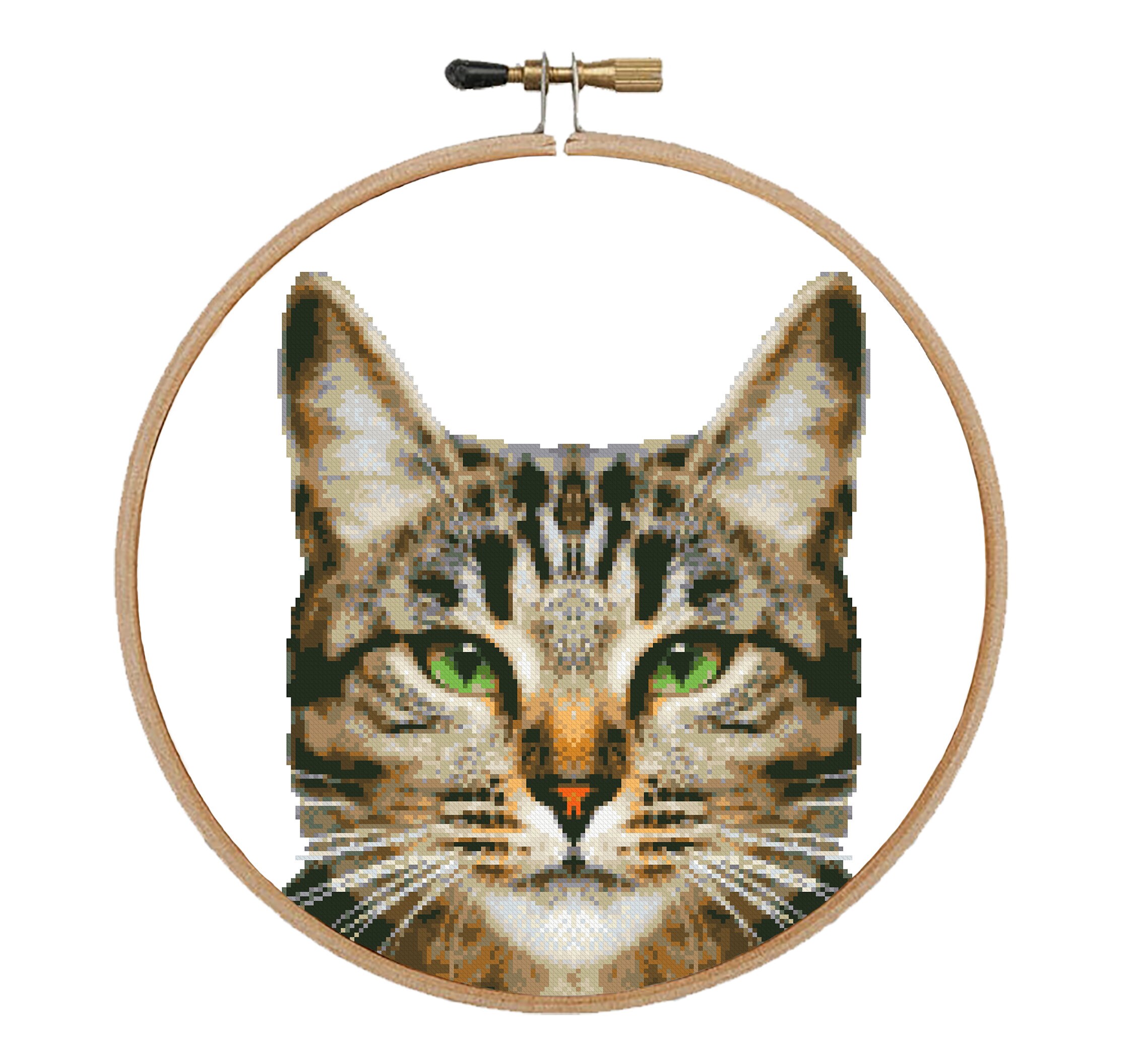 Modified Classic Tabby