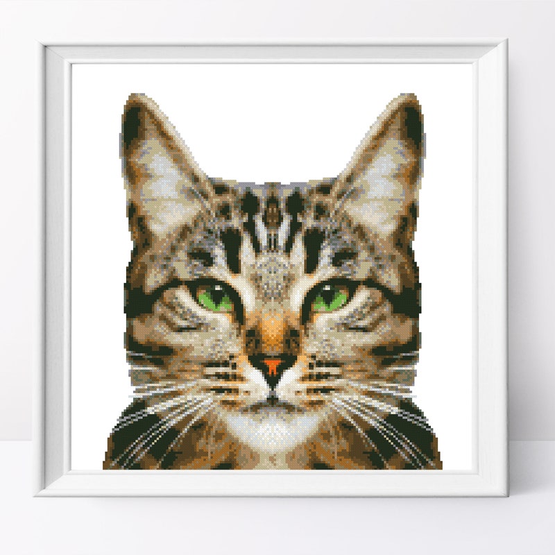 Tabby Cat Cross Stitch Pattern - Etsy
