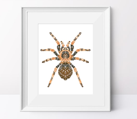 Tarantula Cross Stitch Pattern Spider Pdf Pattern Halloween - Etsy