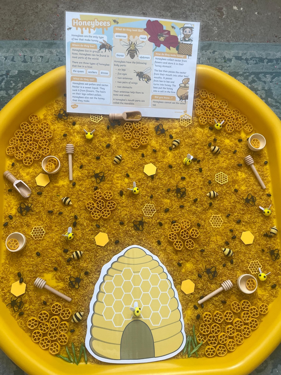 Bee Theme Sensory Bin Filler Kit - Etsy UK