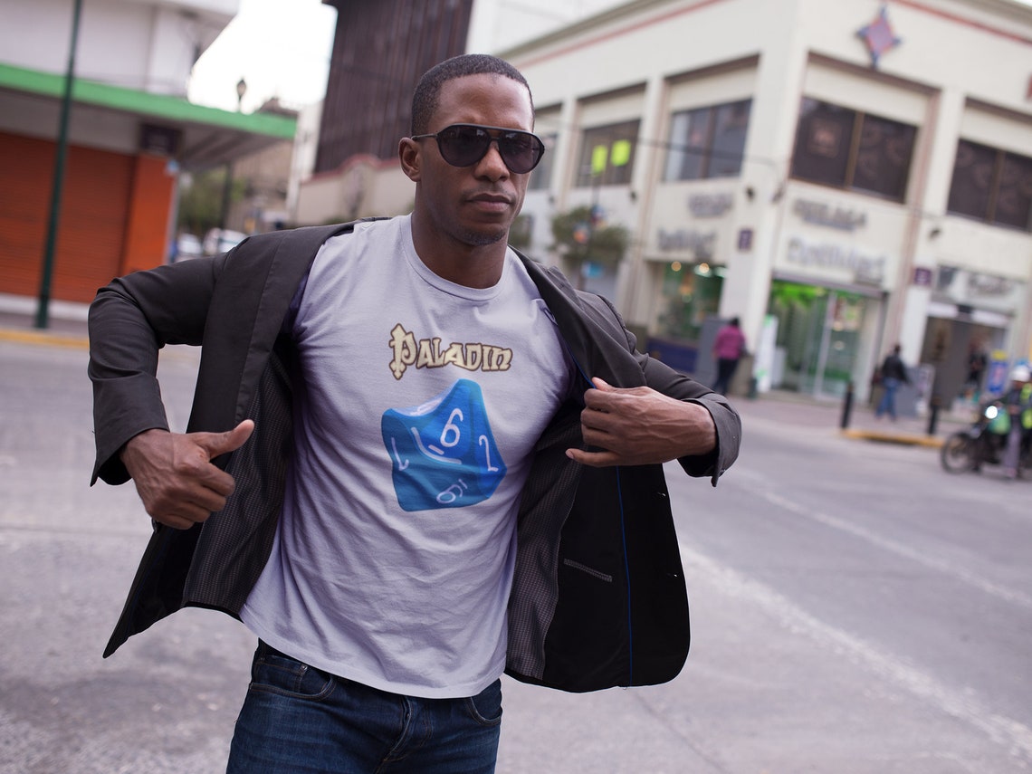 Pathfinder Paladin Hit Dice T-shirt Tabletop Gamer Geek Gift. | Etsy