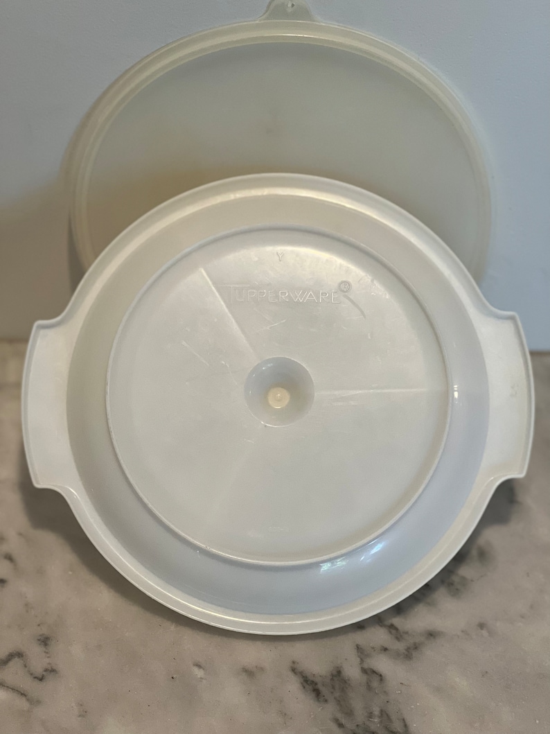 Vintage Tupperware Condiment/relish Tray W/lid & Lifting Ring - Etsy