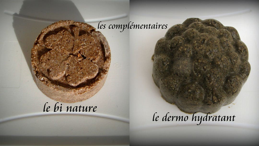 Natural Solid Shampoo, Scalp and Dry Hair, the Complementary Duo, the BI NATURE and the DERMO ...