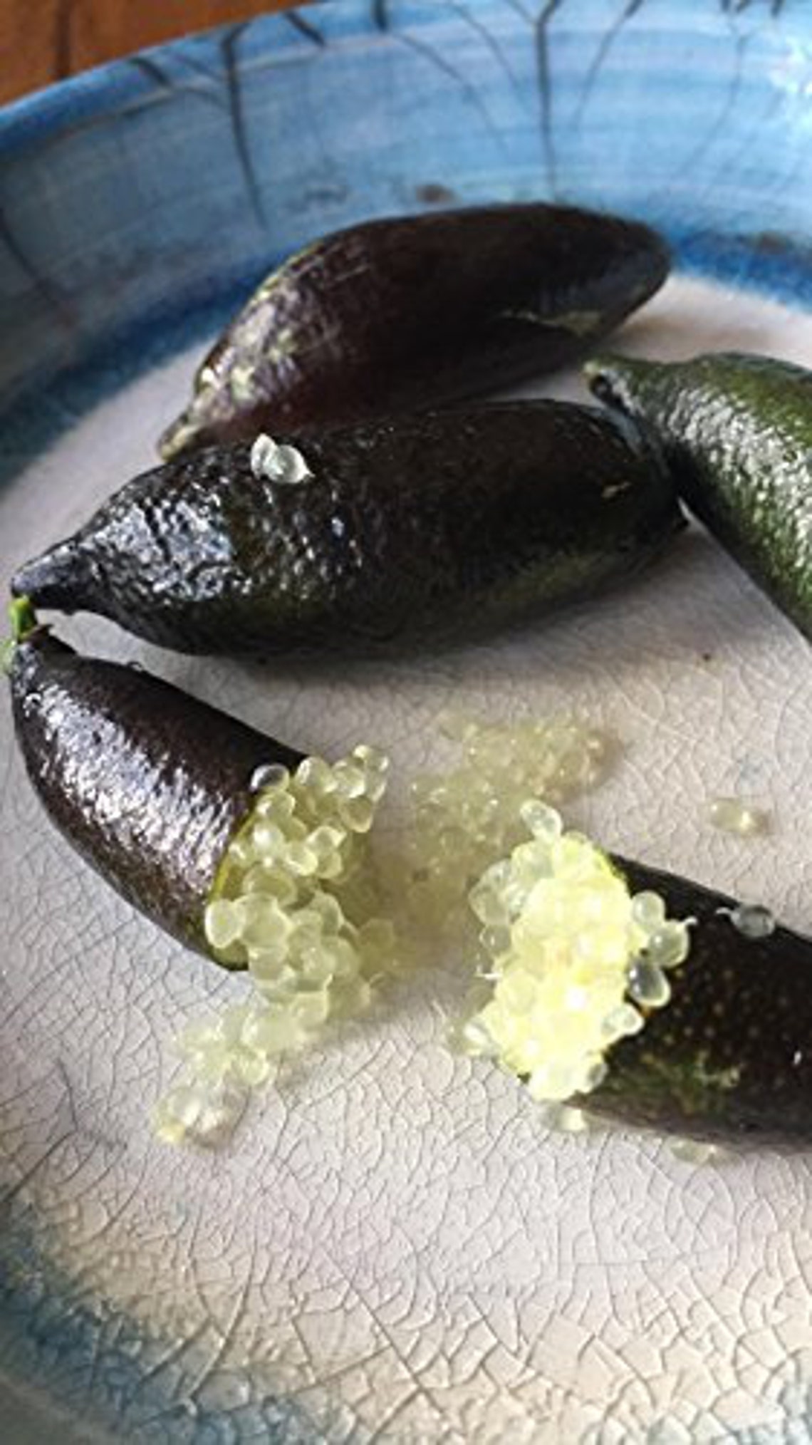 40 Grams 1.41 Oz Freshly Picked Fresh Finger Limes Aka | Etsy