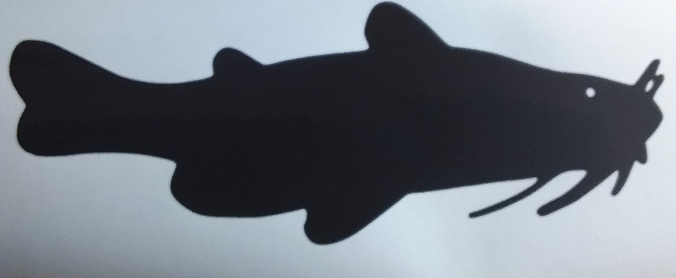 Catfish- Vinyl Decal - Etsy