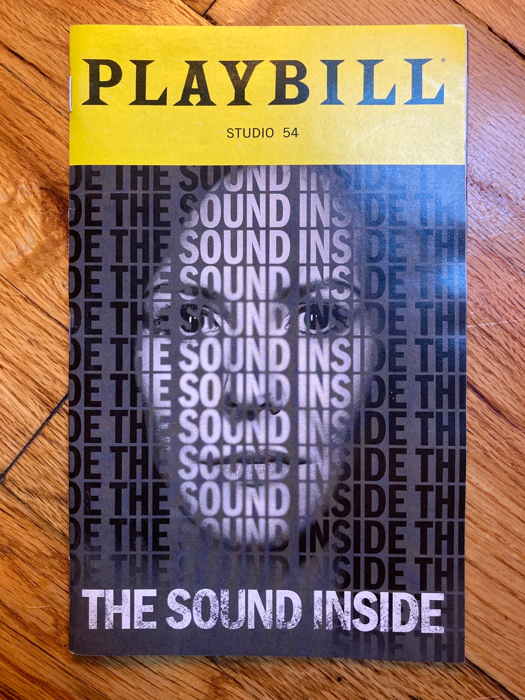 The Sound Inside Broadway Playbill - Etsy