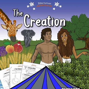 The Creation Activity Book for Beginners - Etsy