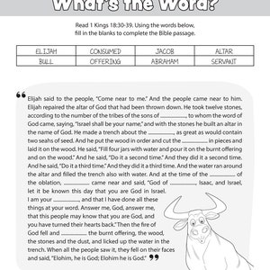 Bible Miracles: Elijah and the Prophets of Baal Activity Book - Etsy