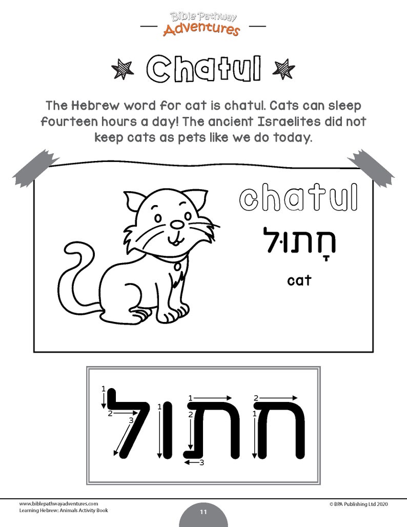 Learning Hebrew: Animals Activity Book for Beginners | Etsy