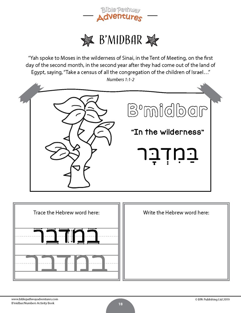 B'midbar / Numbers Torah Portion Activity Book - Etsy
