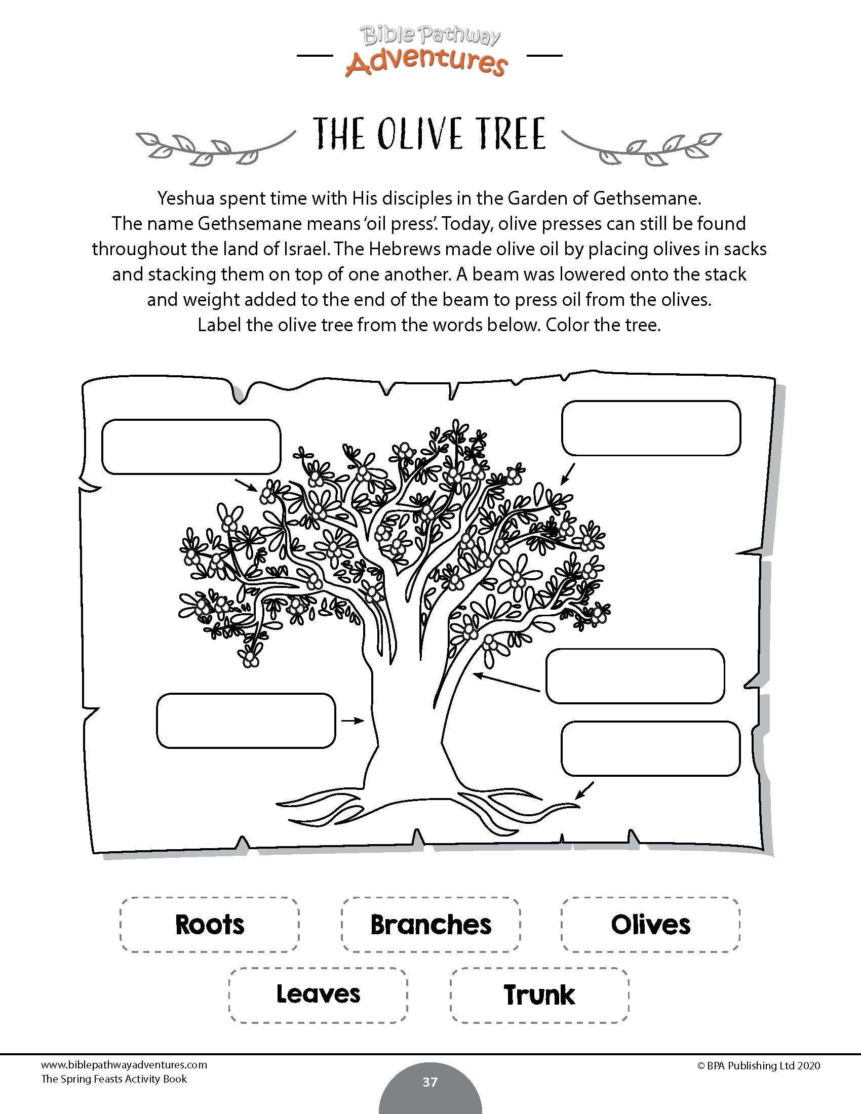 The Spring Feasts Activity Book: Passover First Fruits - Etsy Canada