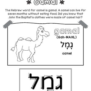 Learning Hebrew: Animals Activity Book for Beginners - Etsy