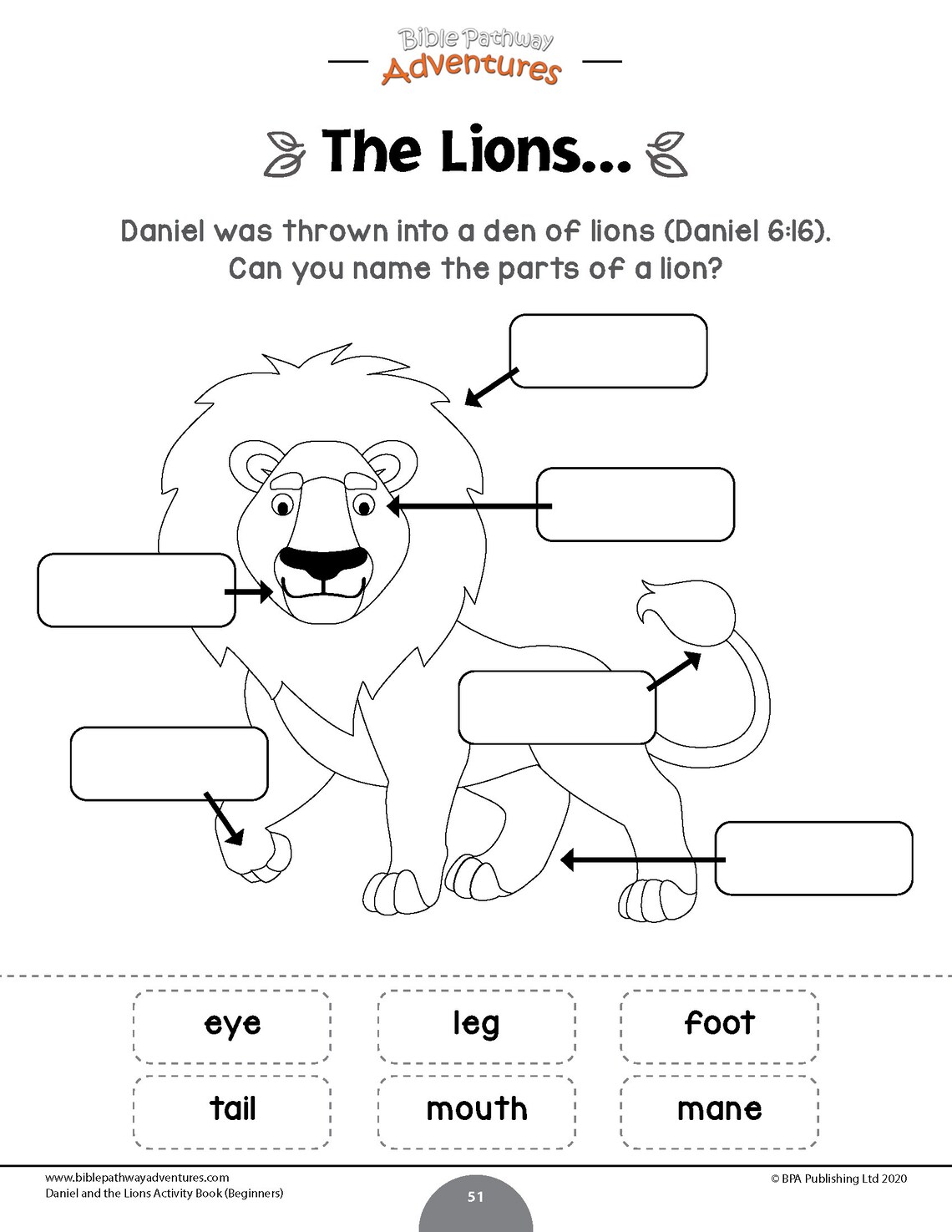 Daniel and the Lions Activity Book for Beginners - Etsy
