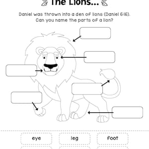 Daniel and the Lions Activity Book for Beginners - Etsy