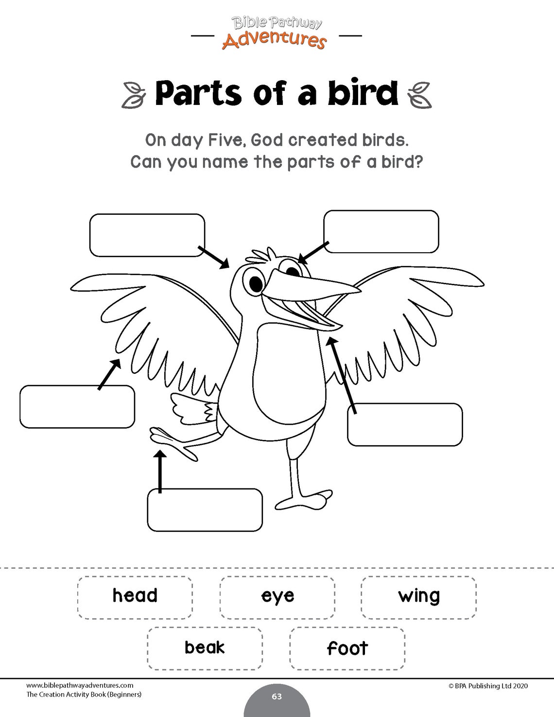 The Creation Activity Book for Beginners - Etsy