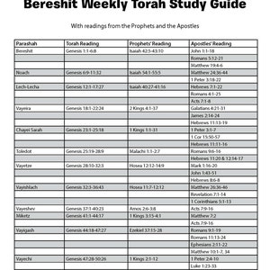Weekly Torah Portion Activity Book - Etsy