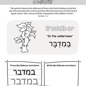 B'midbar / Numbers Torah Portion Activity Book - Etsy