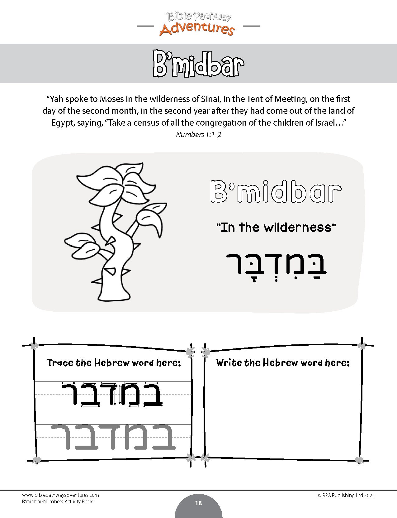 B'midbar / Numbers Torah Portion Activity Book - Etsy