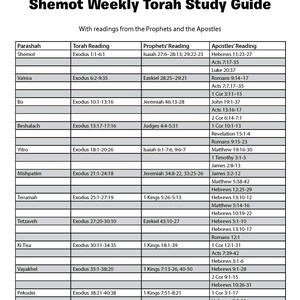Weekly Torah Portion Activity Book - Etsy