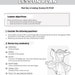 Bible Miracles: Red Sea Crossing Activity Book - Etsy