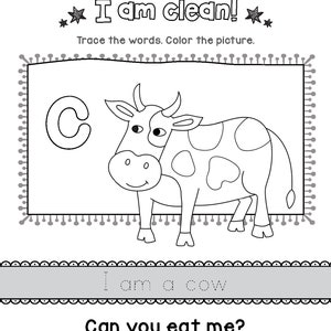 Clean and Unclean Activity Book for Beginners - Etsy