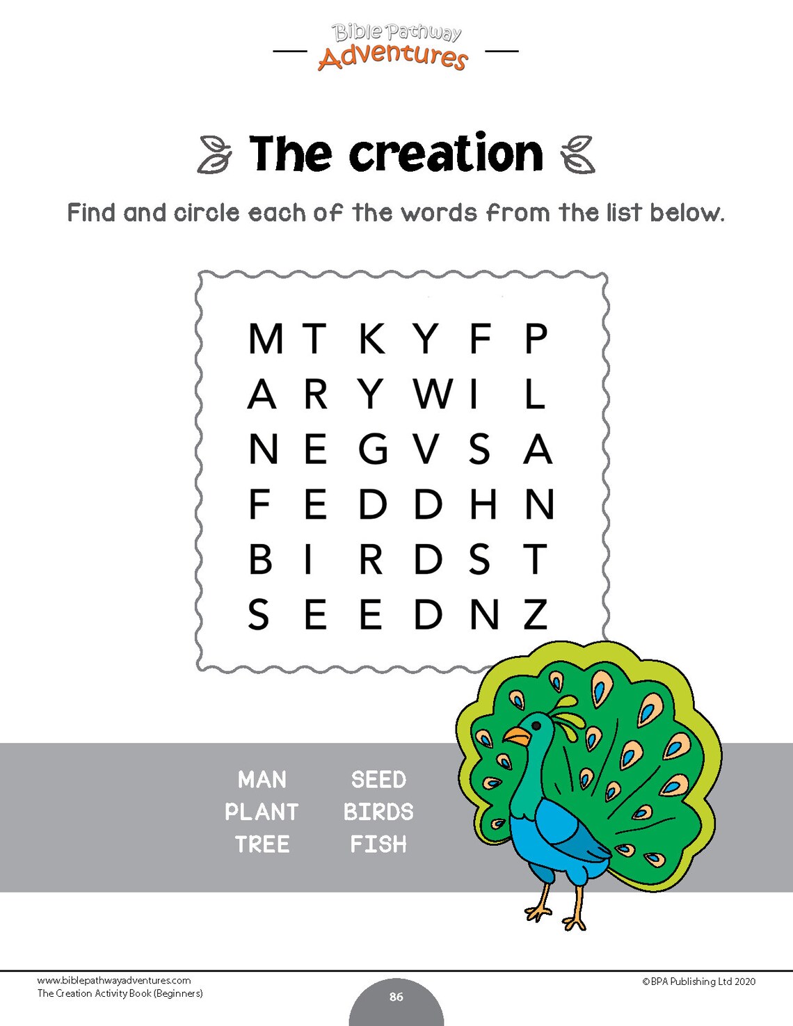 The Creation Activity Book for Beginners - Etsy