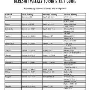 Weekly Torah Portion Activity Book - Etsy Canada