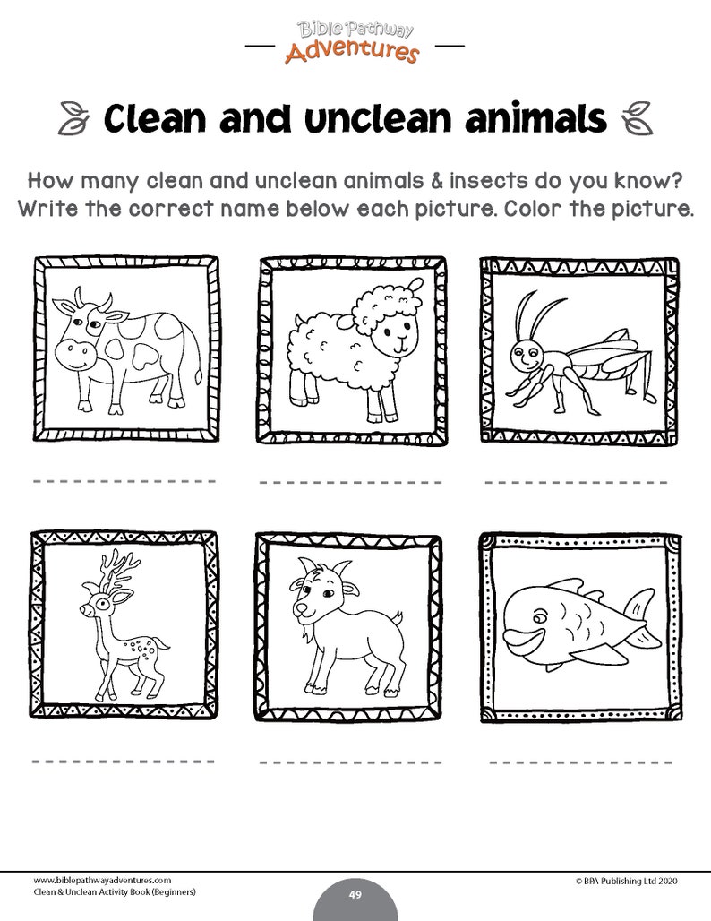 Clean and Unclean Activity Book for Beginners - Etsy