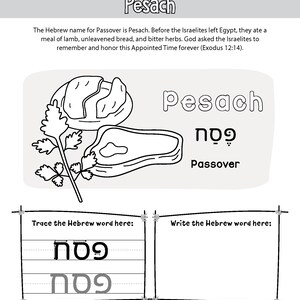 BUNDLE: the Passover Story Activity Books - Etsy