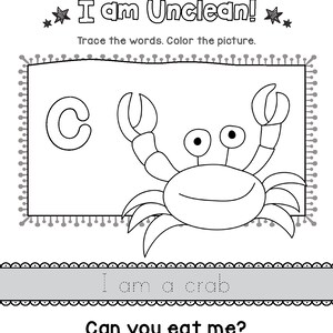 Clean and Unclean Activity Book for Beginners - Etsy