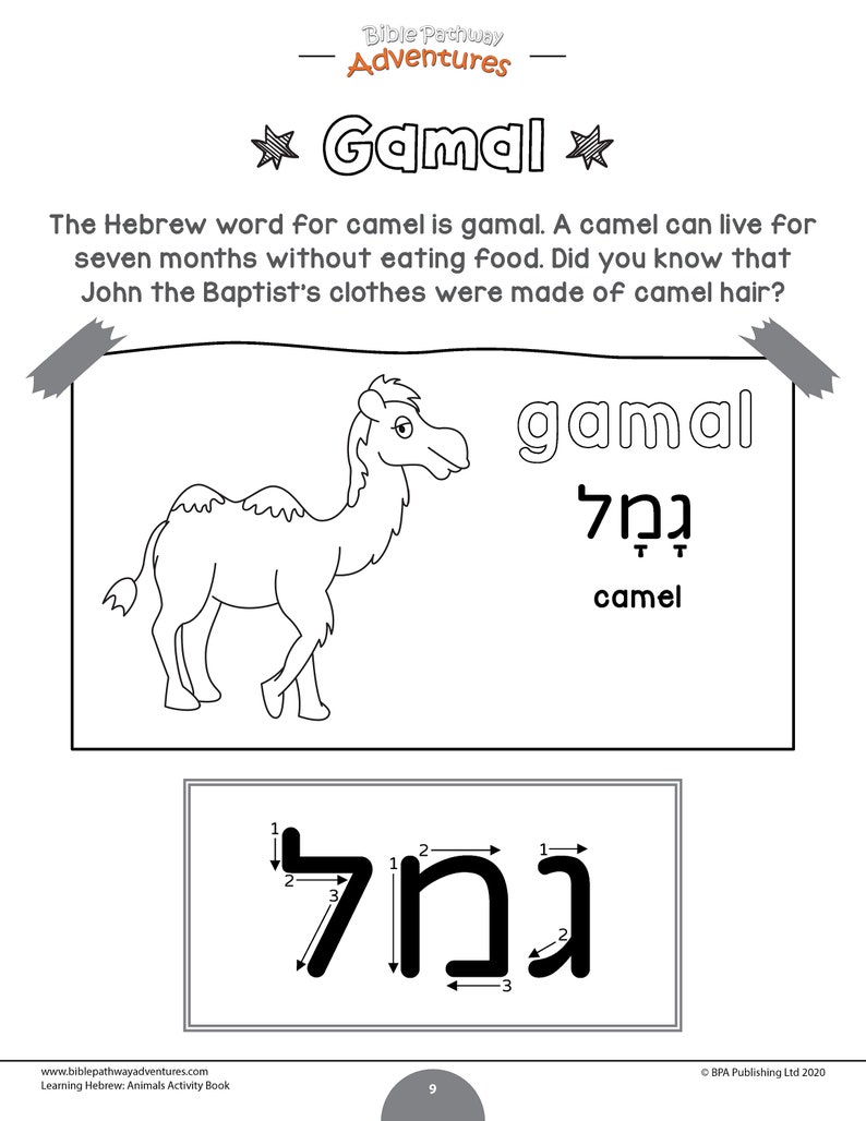 Learning Hebrew: Animals Activity Book for Beginners | Etsy