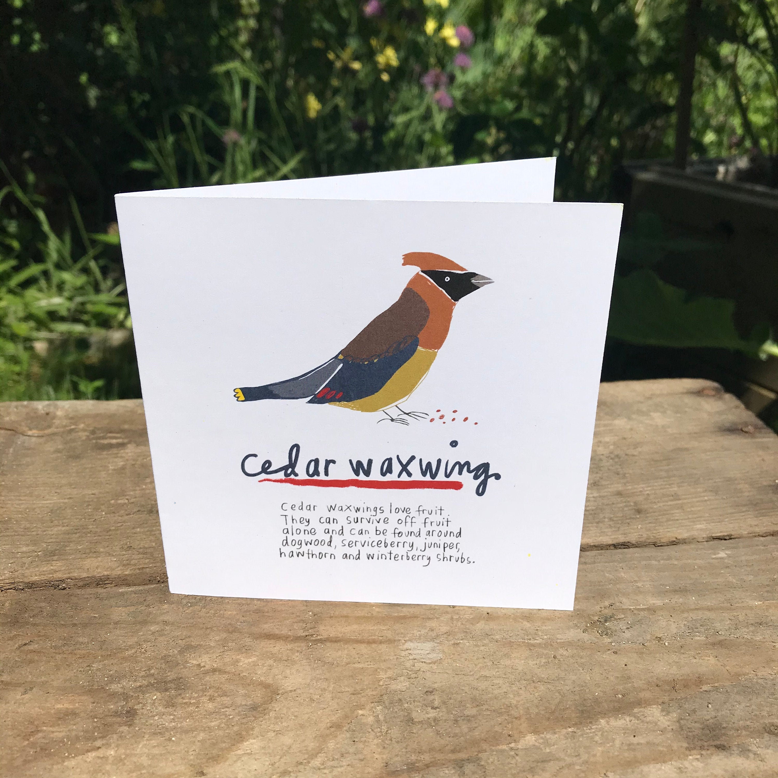 Bird Greeting Cards - Etsy