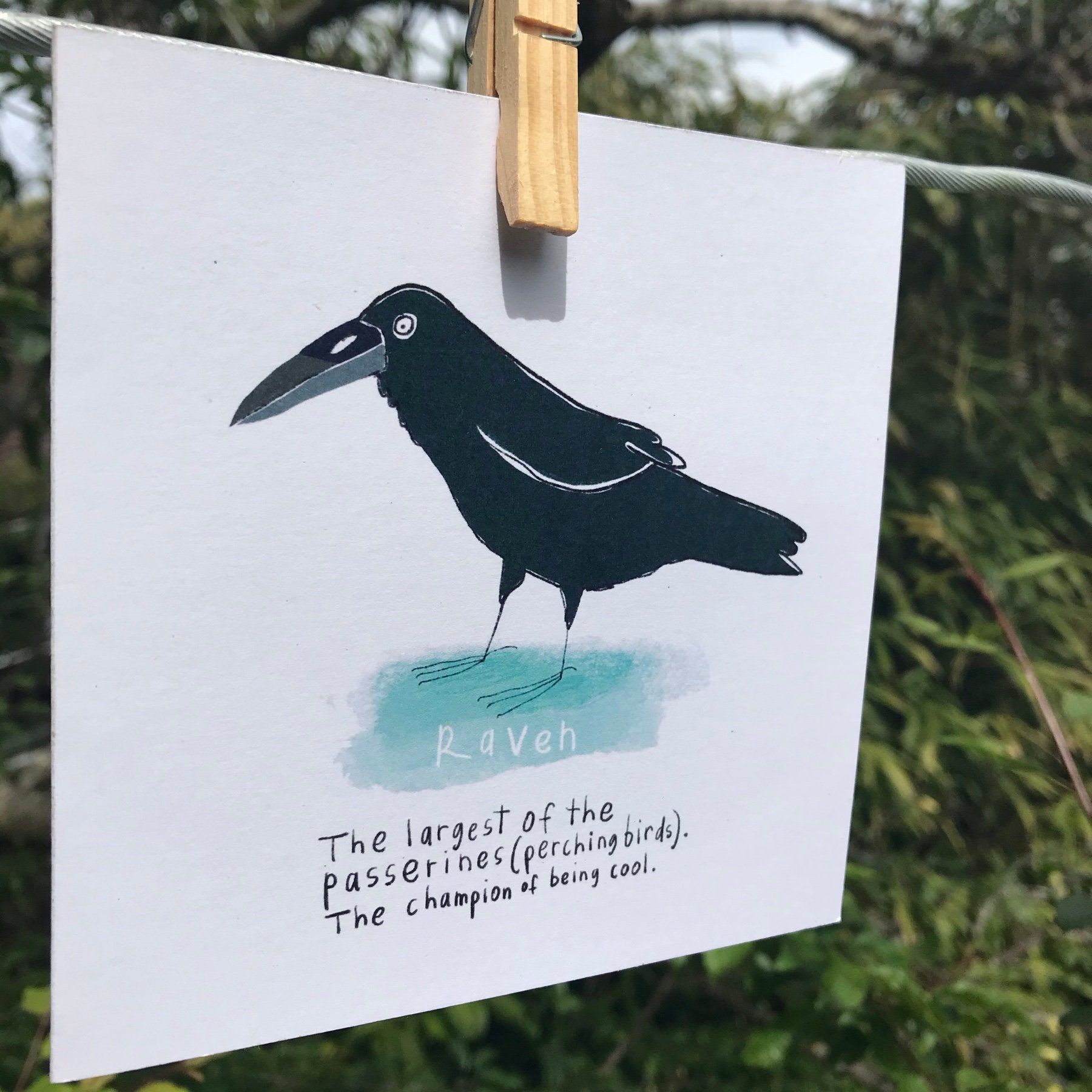 Raven Greeting Cards - Etsy