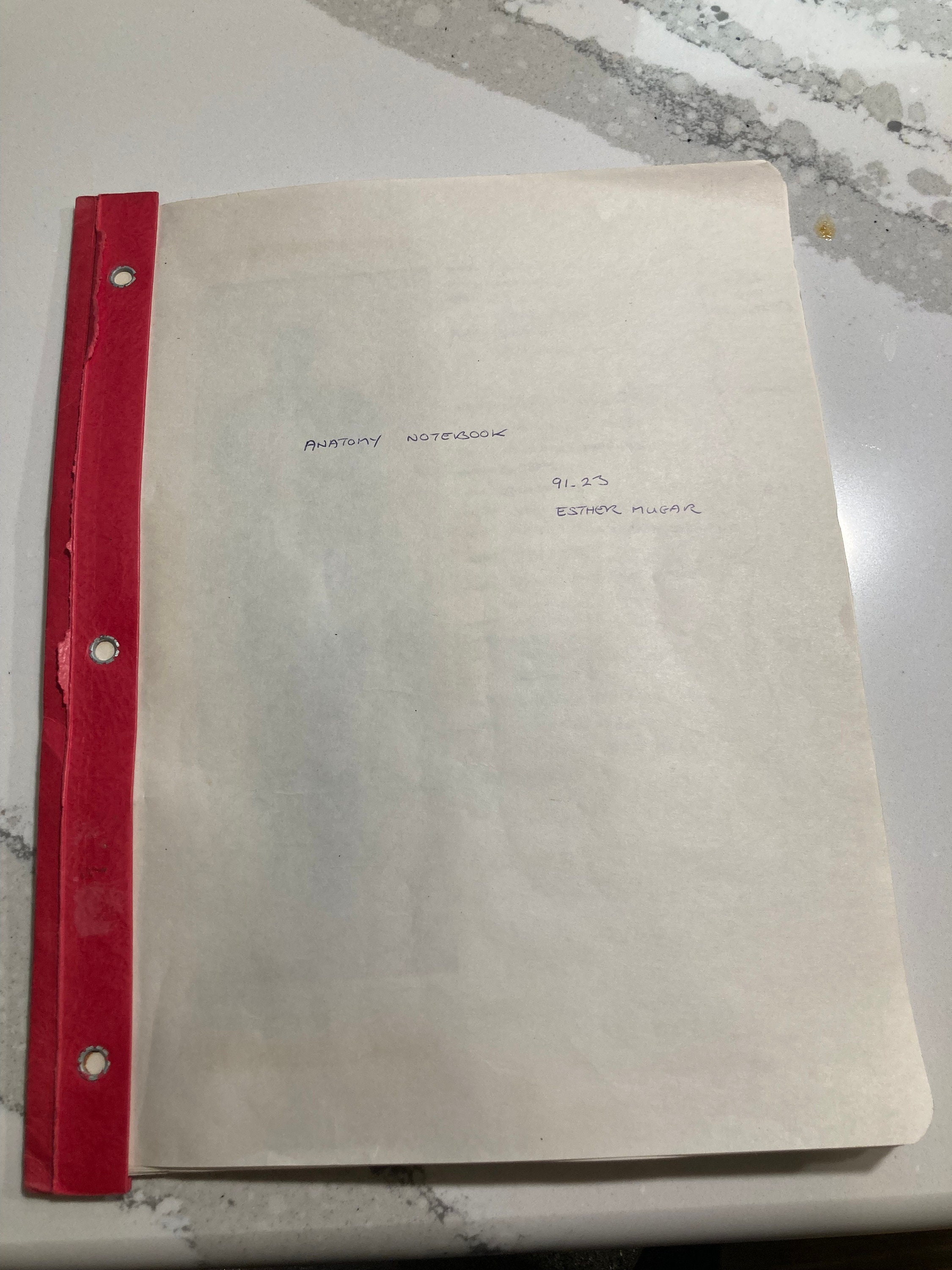 Vintage C1960s-1970s Handmade Ink & Colored Pencil Medical School ...