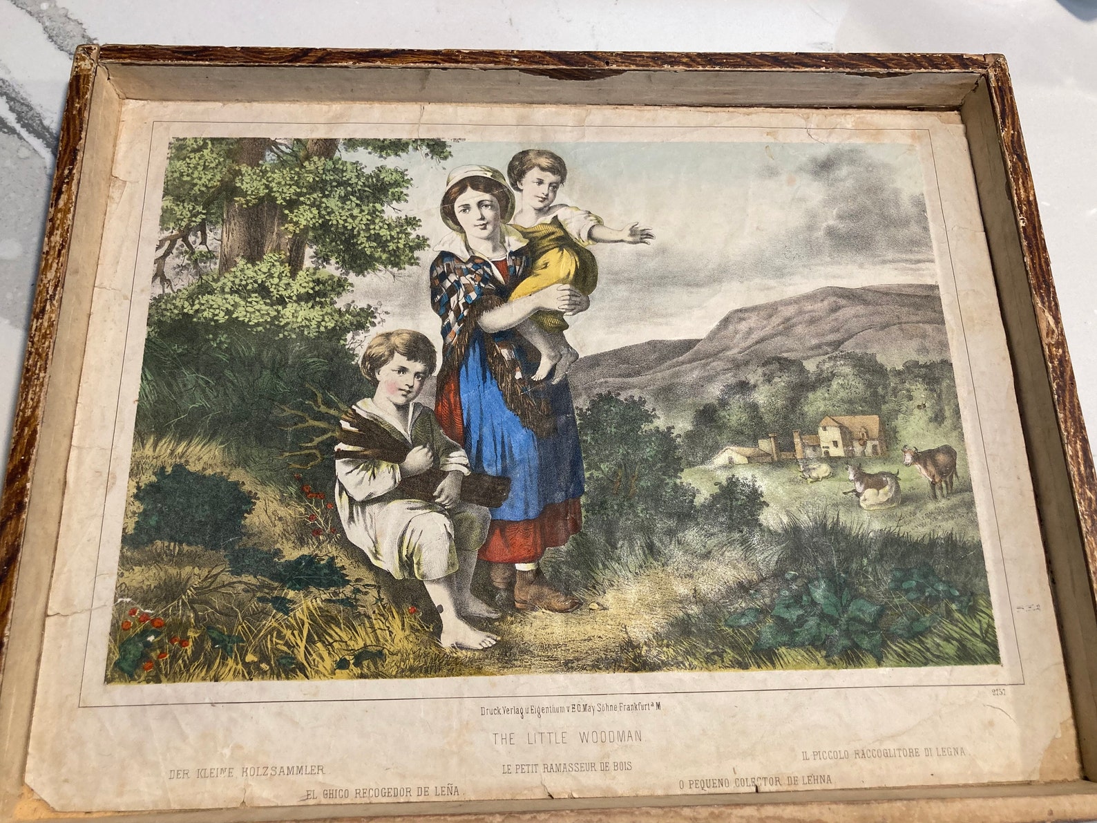 Large Magnificent Complete 19th Century German Cube Block Puzzle 6 ...