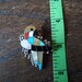 Vintage Zuni Inlay Parrot Brooch, Sterling Silver and Multi-stone, Pin ...