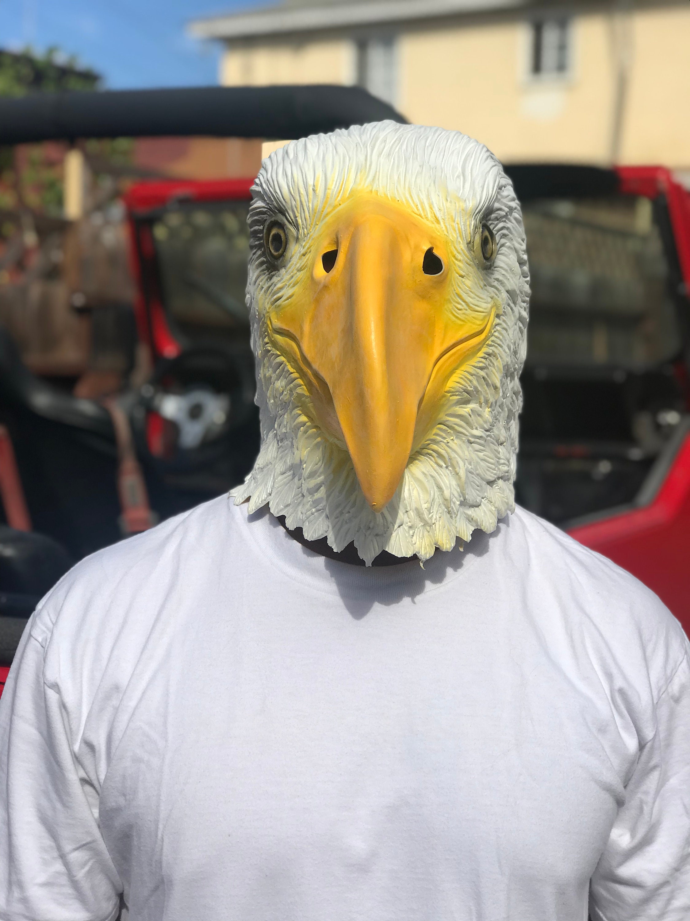 Eagle Masquerade Mask