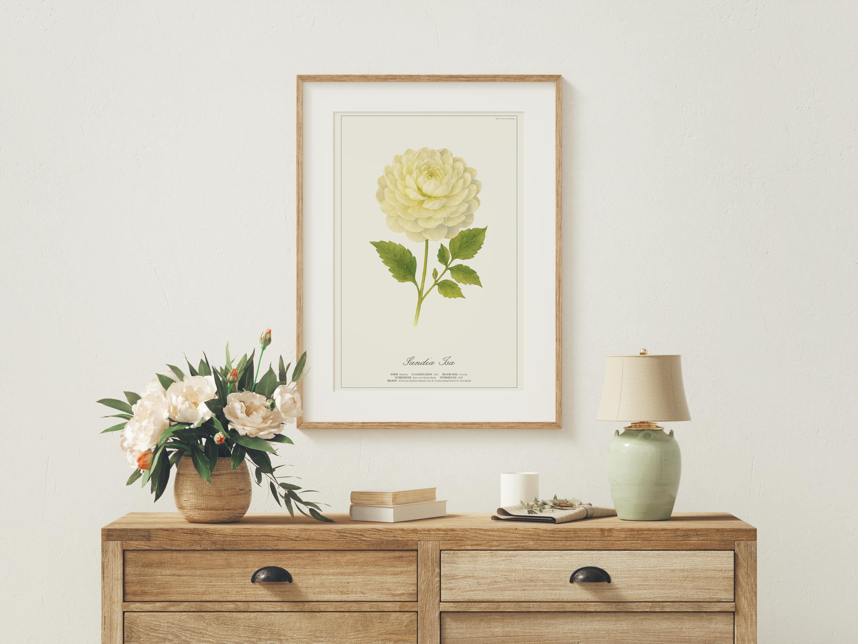 Dahlia Sandia Isa Botanical Print Poster - PHYSICAL PRINT - Etsy
